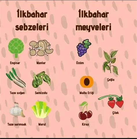 İlkbahar sebze ve meyveleri nelerdir Yazınız Eodev