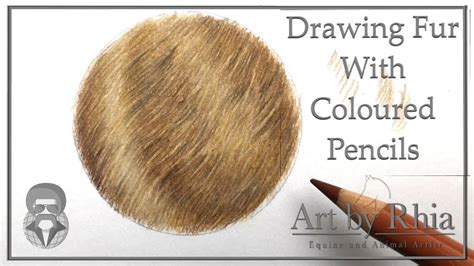 Drawing Realistic Fur With Colored Pencils Tutorial YouTube