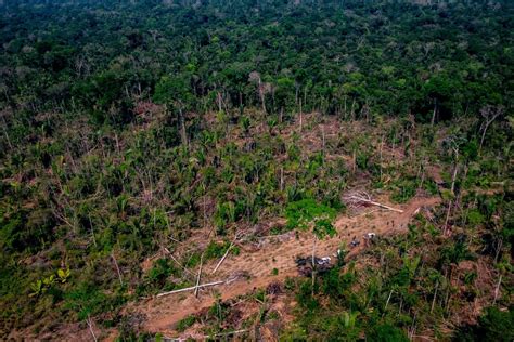 Desmatamento No Cerrado Cresce 20 Em 2022 Diz Instituto De Pesquisa