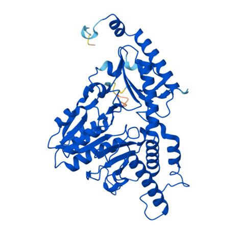 RCSB PDB AF AFA0KXJ0F1 Computed Structure Model Of Cysteine