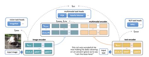 Scaling Multimodal Foundation Models In TorchMultimodal With Pytorch