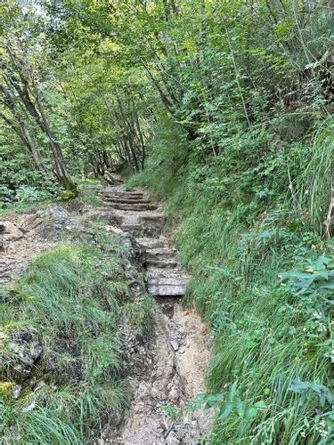 Best Beach Trails In Paradiso Alltrails