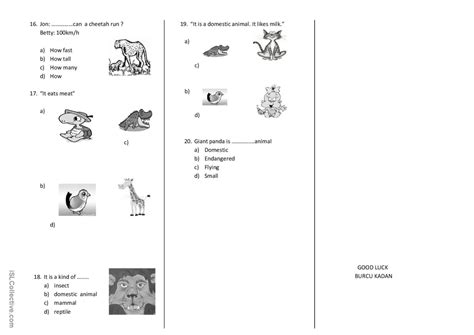 Test English Esl Worksheets Pdf Doc