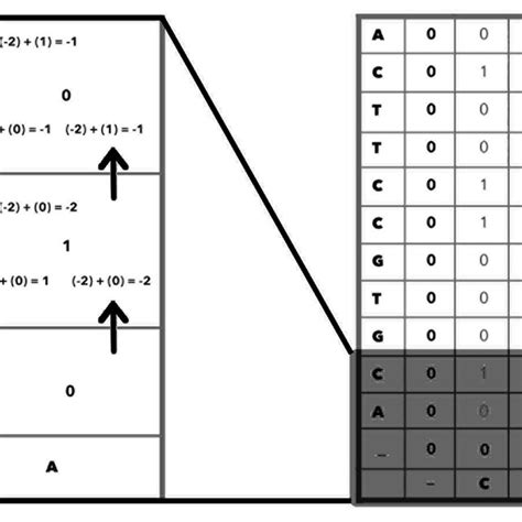 local sequence alignment matrix filling download scientific diagram