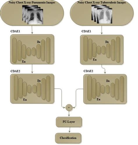 figure 3 from lung disease classification in chest x rays with feature fusion via stacked