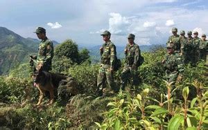 Ý nghĩa của mẫu Biểu trưng Kỷ niệm 80 năm Ngày thành lập QĐND Việt Nam