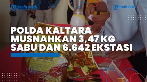 Hasil Pengungkapan Sejak Juli 2022 Polda Kaltara Musnahkan 3 47 Kg