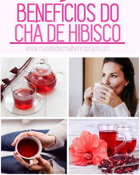 Chá de Hibisco Conheça os benefícios do Chá de Hibisco e como preparar
