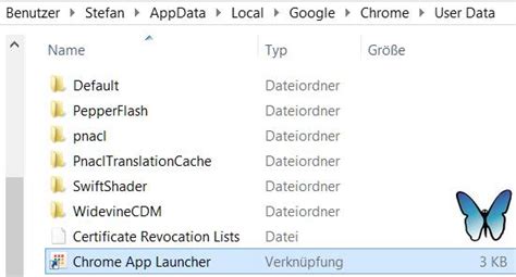 Appdata Local Google Chrome User Data Alter Falter