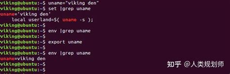 linux下的环境变量配置及其判断逻辑 知乎