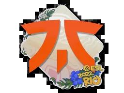 Sticker Outsiders Rio Cs Go Cs Vpesports