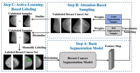 Applied Sciences Free Full Text Attention Based Active Learning
