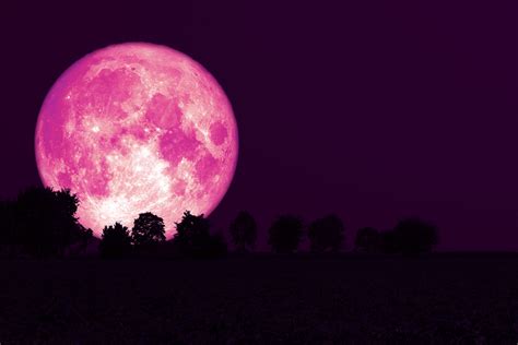 Ce Vendredi La Pleine Lune Des Fraises Fera Son Apparition Dans Le Ciel