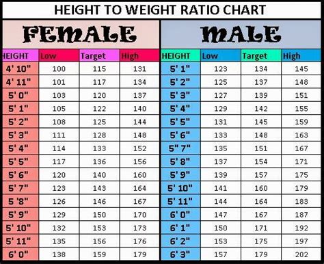 Celebrity Measurements Height Weight Bra Size Shoe Size Body
