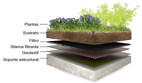 Cubiertas Vegetales Jardines Verticales Hortus Vertical