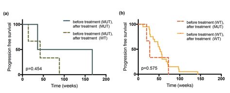 Kaplan Meier Progression Free Survival Curve Of Patients In The