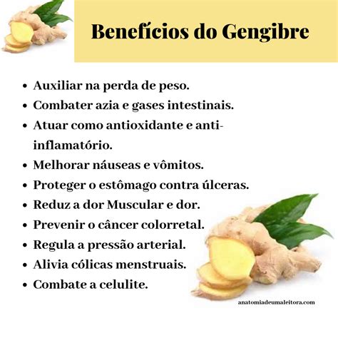 Gengibre Descubra seus benefícios Anatomia de uma leitora