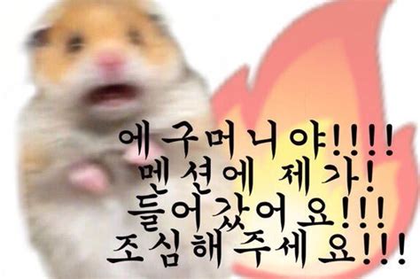 간장님메인트봐주세요 on Twitter 짤을 짤짤 털기