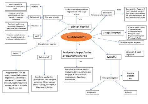 Alimentazione Mappa Concettuale Gruppi Alimentari Malattie