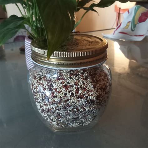 Golden Sun Bio Quinoa Tricolore Review Abillion