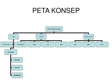 Peta Konsep Sistem Ekskresi Pada Manusia Ppt Free IMAGESEE