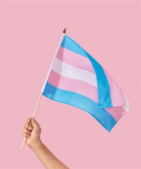D A Internacional De La Memoria Trans Trans Ti