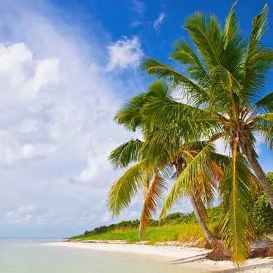 Croisière États Unis Mexique Belize Jamaïque Îles Caïmans