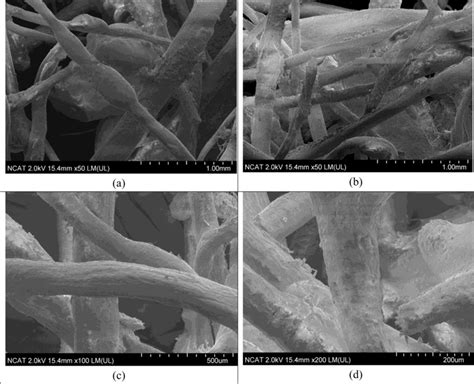 SEM Image Of Palm Fiber At Different Conditions A As Received B 14 Day