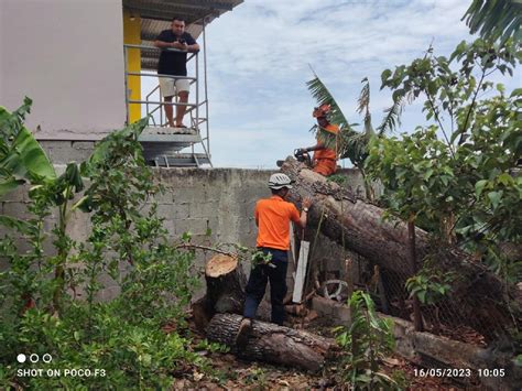 Sinaproc Panama On Twitter Herrera Realizamos Corte Y Remoci N De