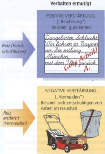 Lernpsychologie Kapitel Behavioristische Sichtweise Des Lernens