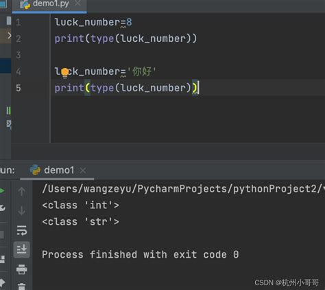 pyhon输出变量数据类型 输出变量的类型py csdn博客