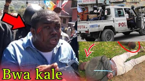 Anmweyy Bwa Kale Pou André Miche Yon polisye krabinen Andre Michel