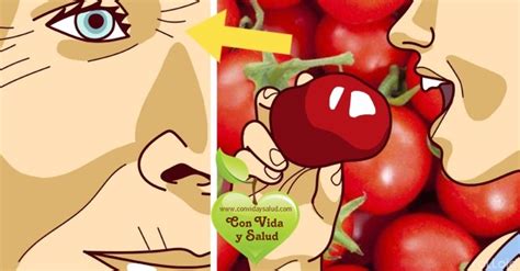 Esto Es Lo Que Sucede Dentro De Tu Cuerpo Cuando Comes Tomates Todos