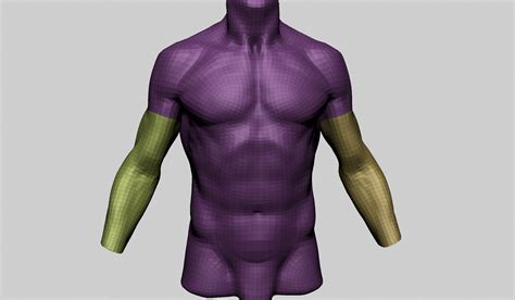 3D Male Torso C TurboSquid 2206349