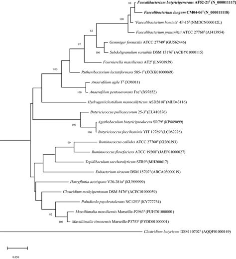 Maximum Likelihood Phylogenetic Tree Based On S Rrna Gene Sequences