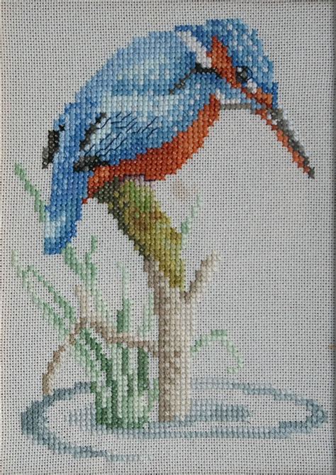 A Bird Oiseaux De Point De Croix Point De Croix Broderie Point De Croix