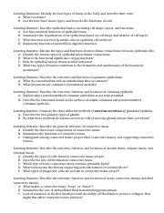 Chapter Outline Docx Learning Outcomes Identify The Four Types Of