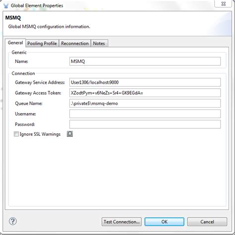 Java Mule MSMQ Flow Gives Connection Refused Error In Mule Studio