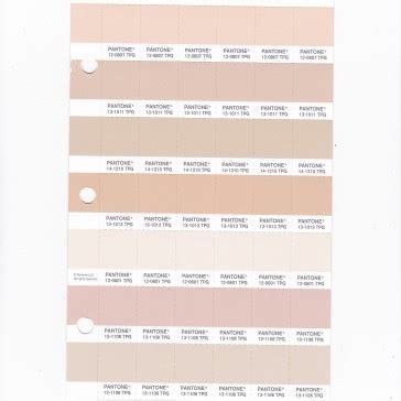 Pantone TPG Replacement Page Fashion Home Interiors Buy In India