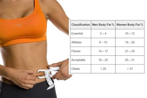 Body Fat Percentage Chart Printable