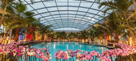 Termas de Bucarest Therme București Impresionante Balneario en Bucarest