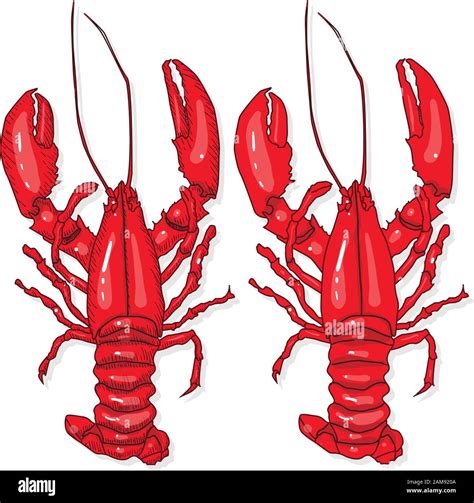 Crayfish Vector Illustration On A White Background Crayfish Isolated