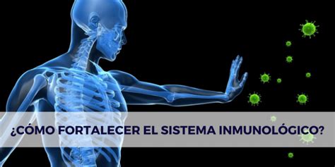 Como fortalecer el sistema inmunológico para combatir el COVID19 Eco