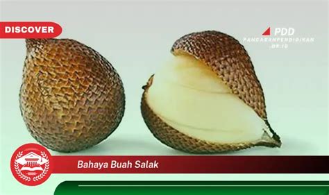 Inilah 5 Bahaya Makan Buah Salak Yang Jarang Diketahui