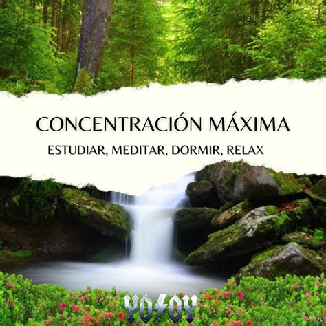 Concentración Máxima Estudiar Meditar Dormir Relax Álbum de