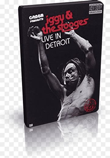 Iggy Pop And The Stooges Logo