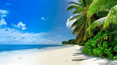 Plage de rêves HD Fond d écran Ultra HD