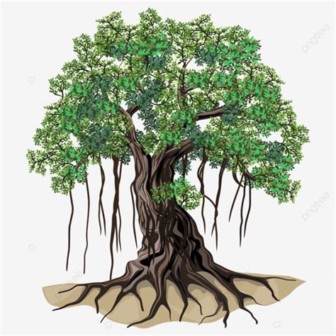 Banyan Tree Vector Illustrations Hand Drawn Art Banyan Tree Roots