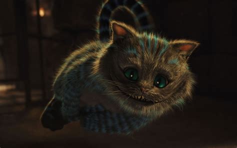 Desktop Cheshire Cat Wallpapers Wallpaper Cave