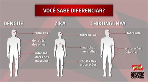 Agência ALESC Divulgado novo boletim sobre dengue chikungunya e zika